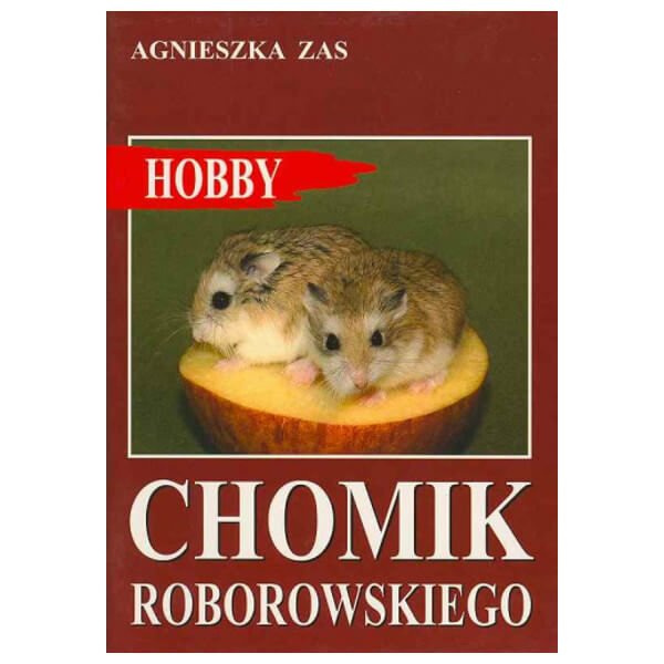 Chomik roborowskiego | | Megazoologiczny.pl